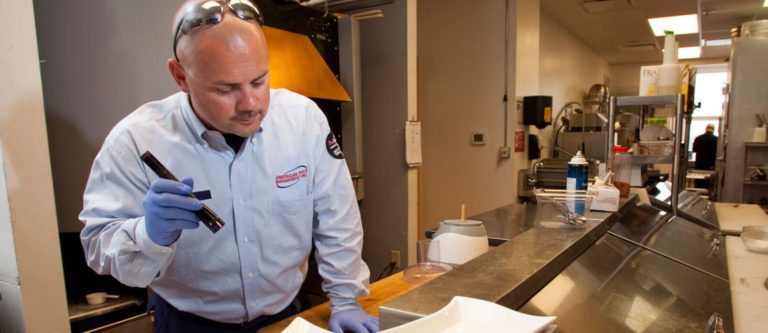 Your Local Pest Control Experts | American Pest Management - Pest ...